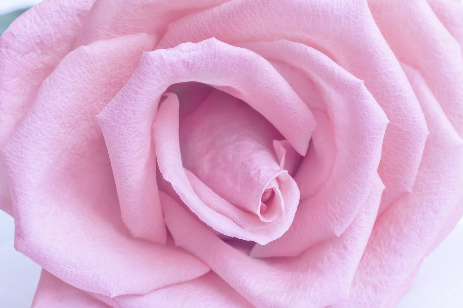 What is a mattress core layer?